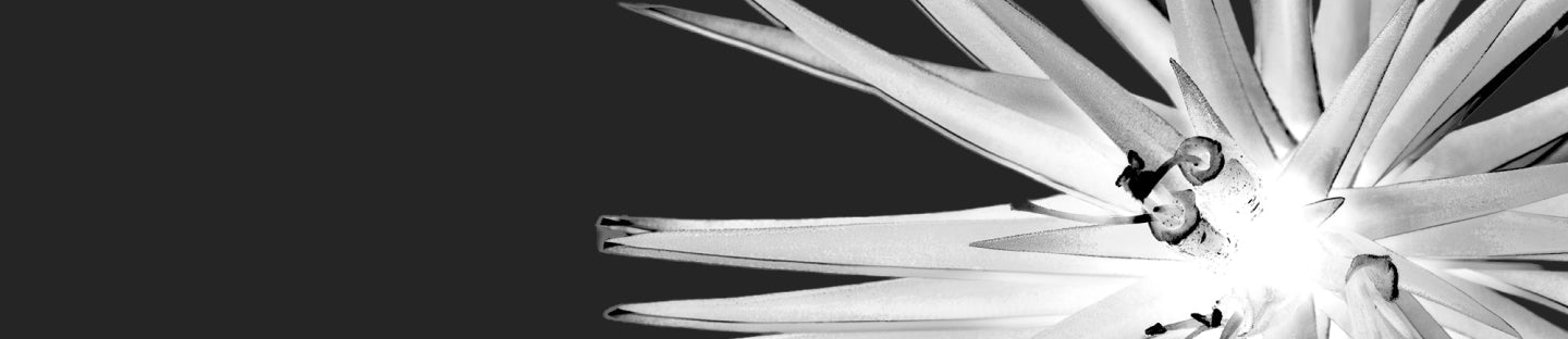 The Pisces Gift Edit – tagged "[mood_dazzling]"